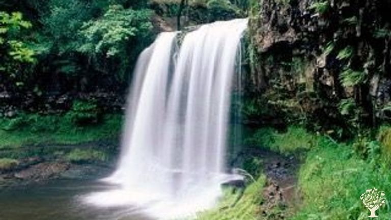 Waterfall w/ Amazon style rainforest & large natural pools w/ small ...