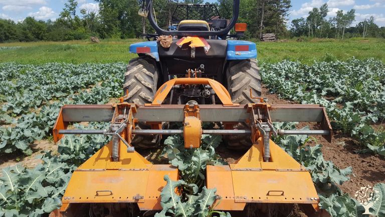 104 acre certified organic farm with 10K square feet of greenhouses ...