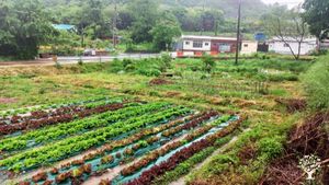 단순 소박한 삶/A Simple and Humble Life - WWOOF Korea