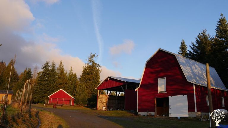 Family farm - WWOOF Canada
