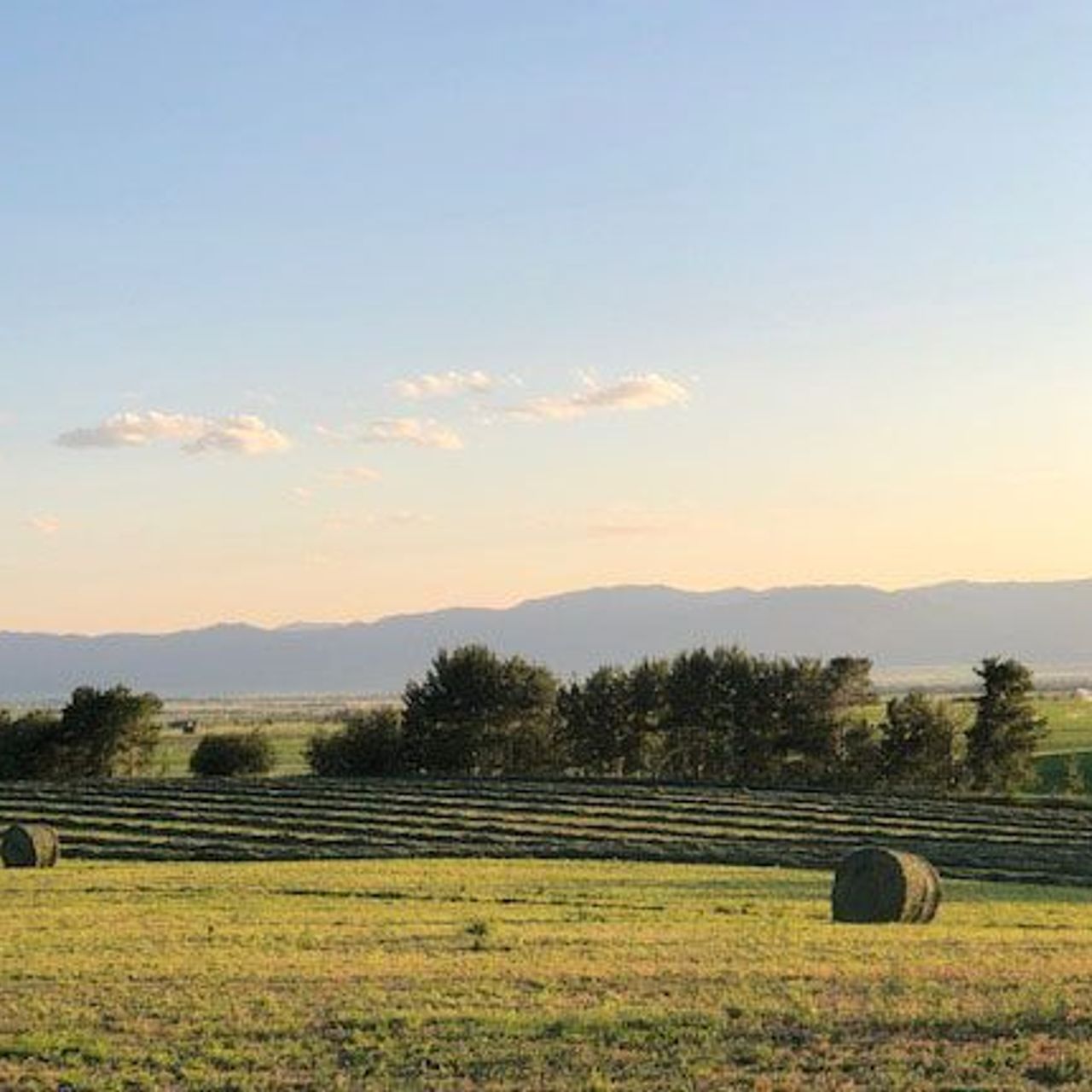 150 acre fifth generation ranch that has been operational since 1888 in ...