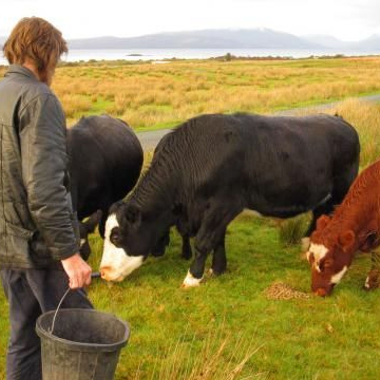 Croft - WWOOF UK