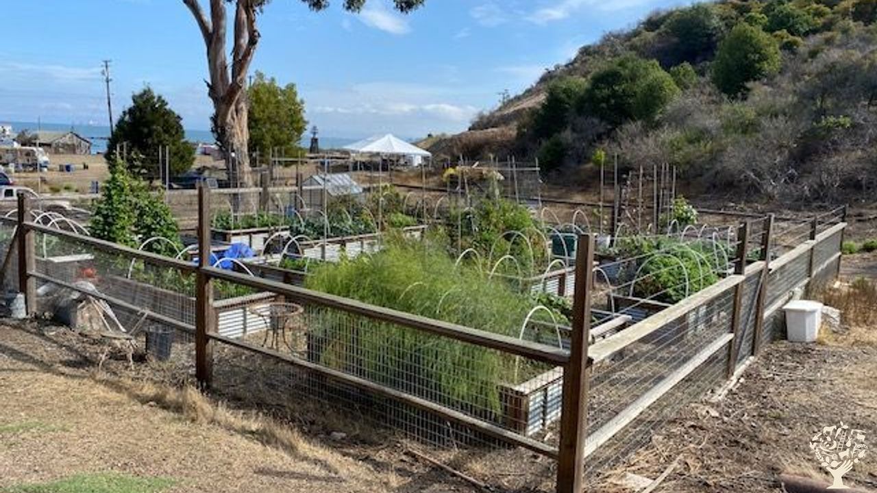 Marina with a 15-acre tract of land and a small farm on the San ...