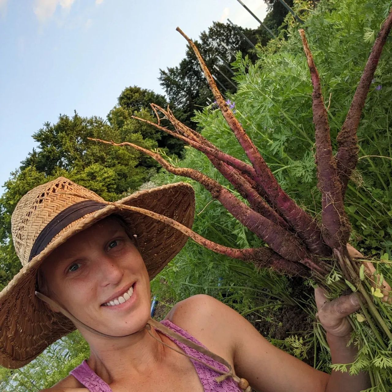 Small farm cultivating organically grown produce, herbs and flowers ...