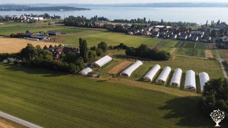 Demeter Biodynamic Vegetable and Fruit Farm run by a Cooperative ...