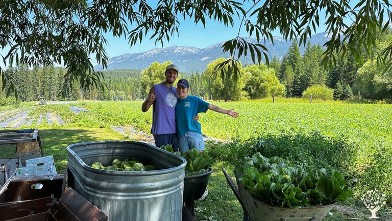 Second generation farmers on an 80 acre farm located in beautiful ...