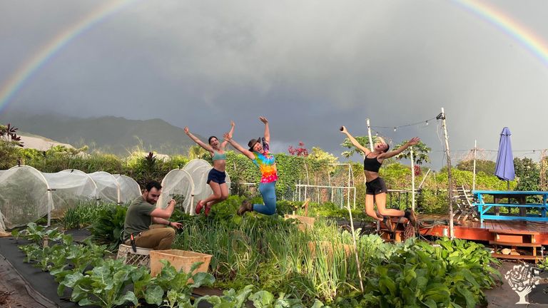 A 4-acre homestead with over 400 varieties of edible tropical fruits ...