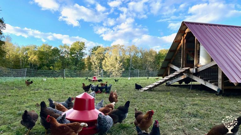 Diversified regenerative organic farm in the Northern Poconos - WWOOF USA