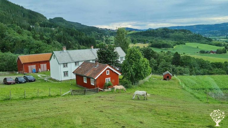 Family farm - WWOOF Norway