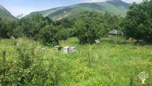 Potager, verger, ruche - WWOOF France