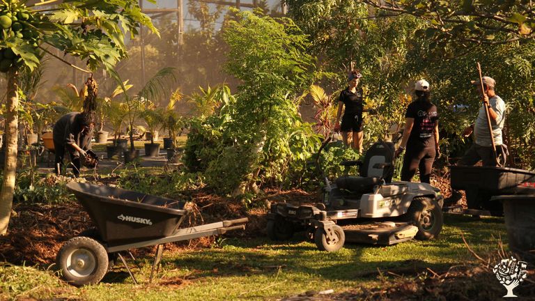 South Florida's Leading Team of Composting Experts - WWOOF USA
