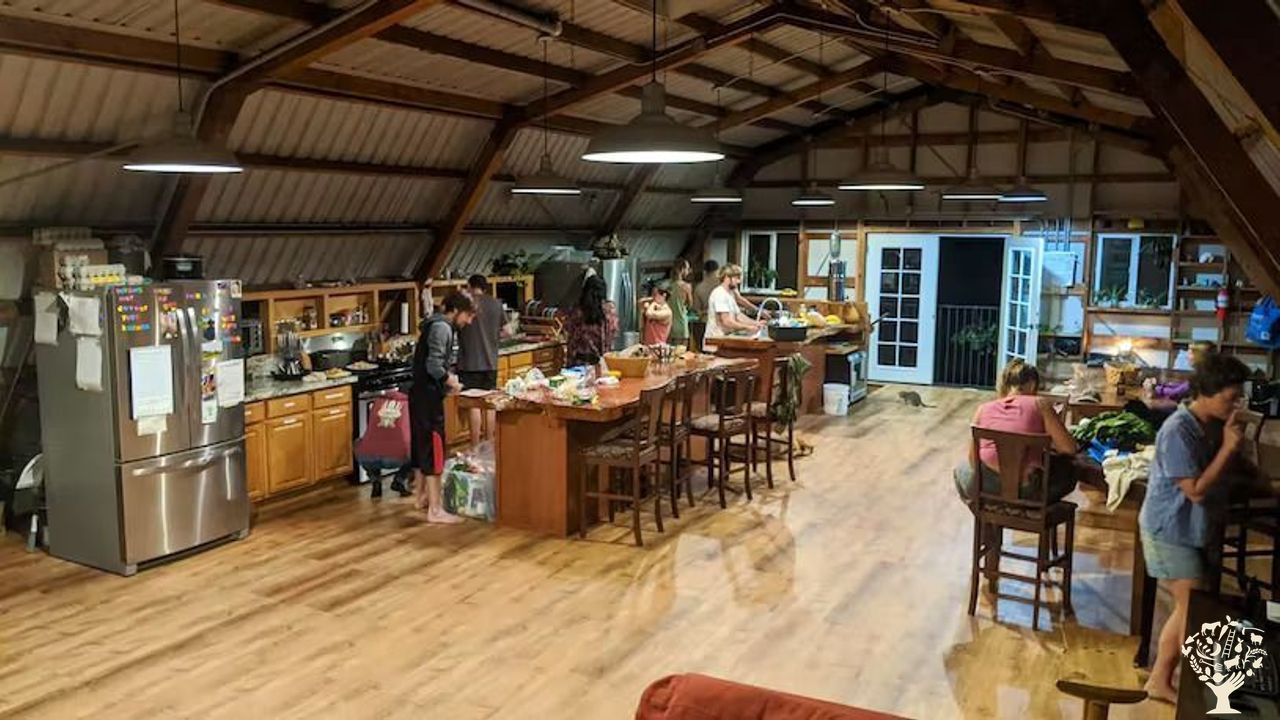 Off-the-grid, natural farm, located just outside of Hilo, Hawaii ...