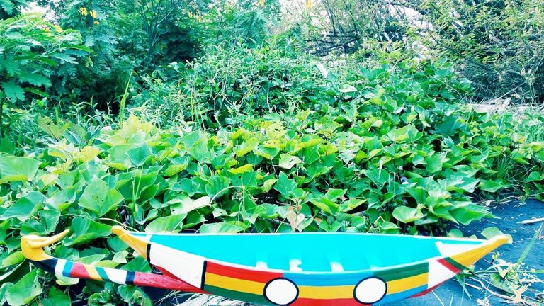 Local Community Projects - WWOOF Independents