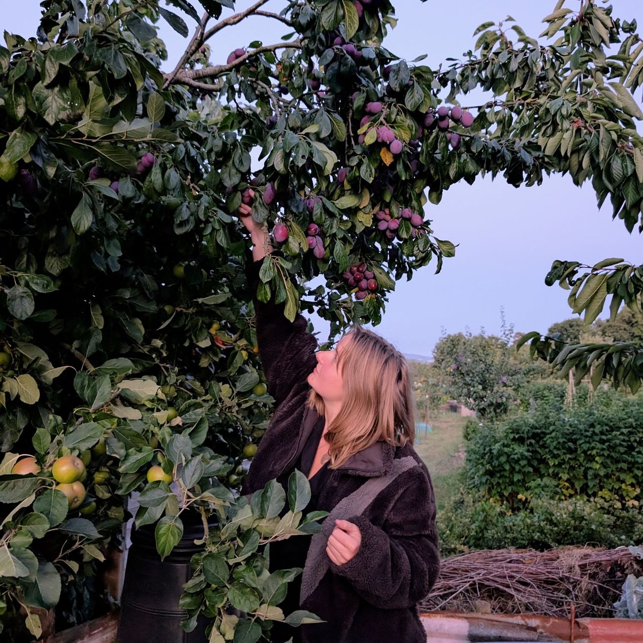 Live and Learn on Organic Farms - WWOOF Spain