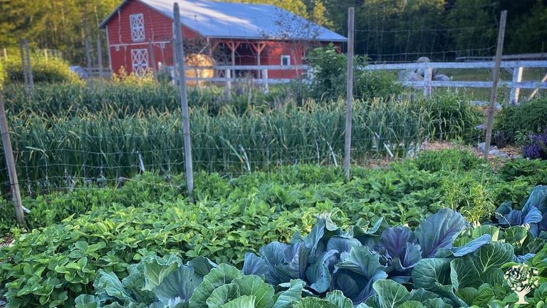 Homestead, Market Garden, No-till Farm - WWOOF Canada