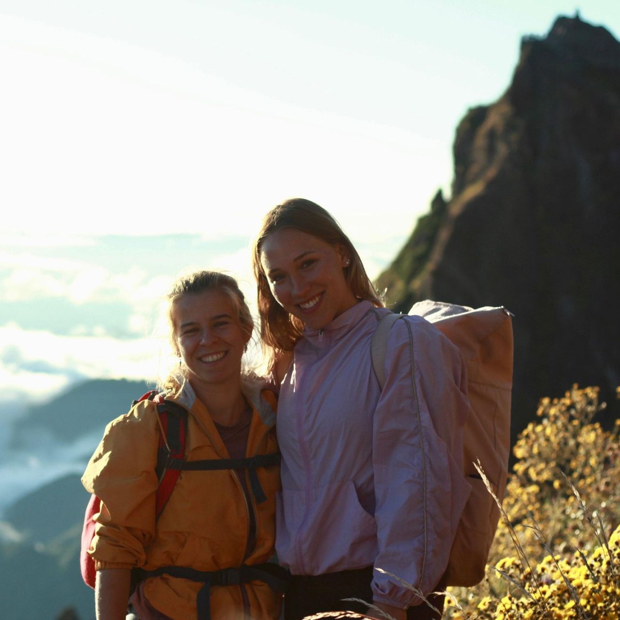 Live and Learn on Organic Farms - WWOOF Norway