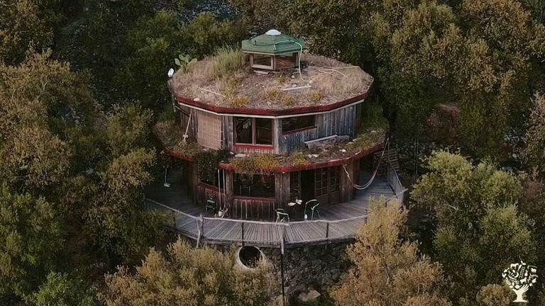 Treehouse cider project - rural - WWOOF Portugal