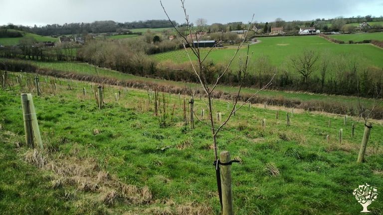 Orchards and a small farm - all organic. - WWOOF UK
