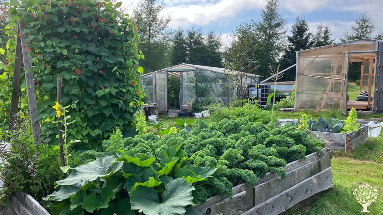 Homestead, Vegetables-Animals-Foraging-Cooking-Preserving-Renewable ...