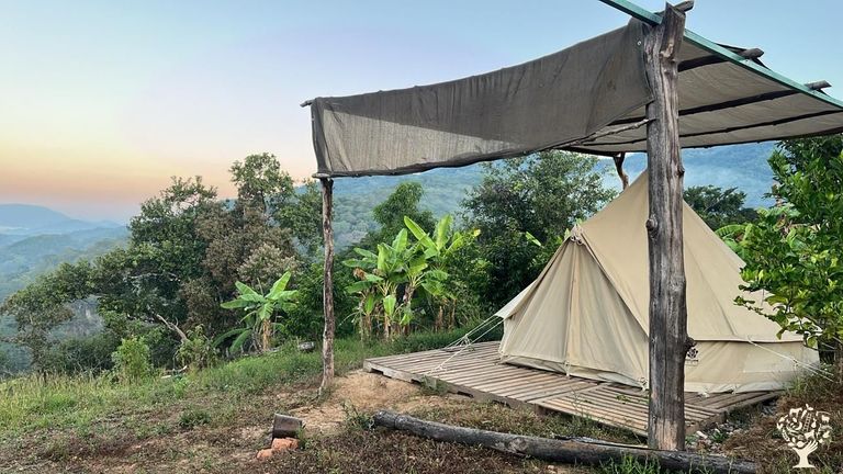 Sustainable ecoturism property with organic gardens, animals, and ...