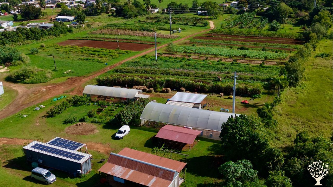 We are an organic seed production farm, - WWOOF USA