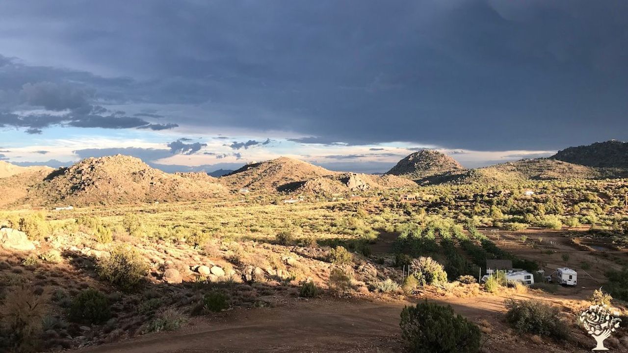 Pistachio farm near Kingman, AZ surround by beautiful scenery and ...