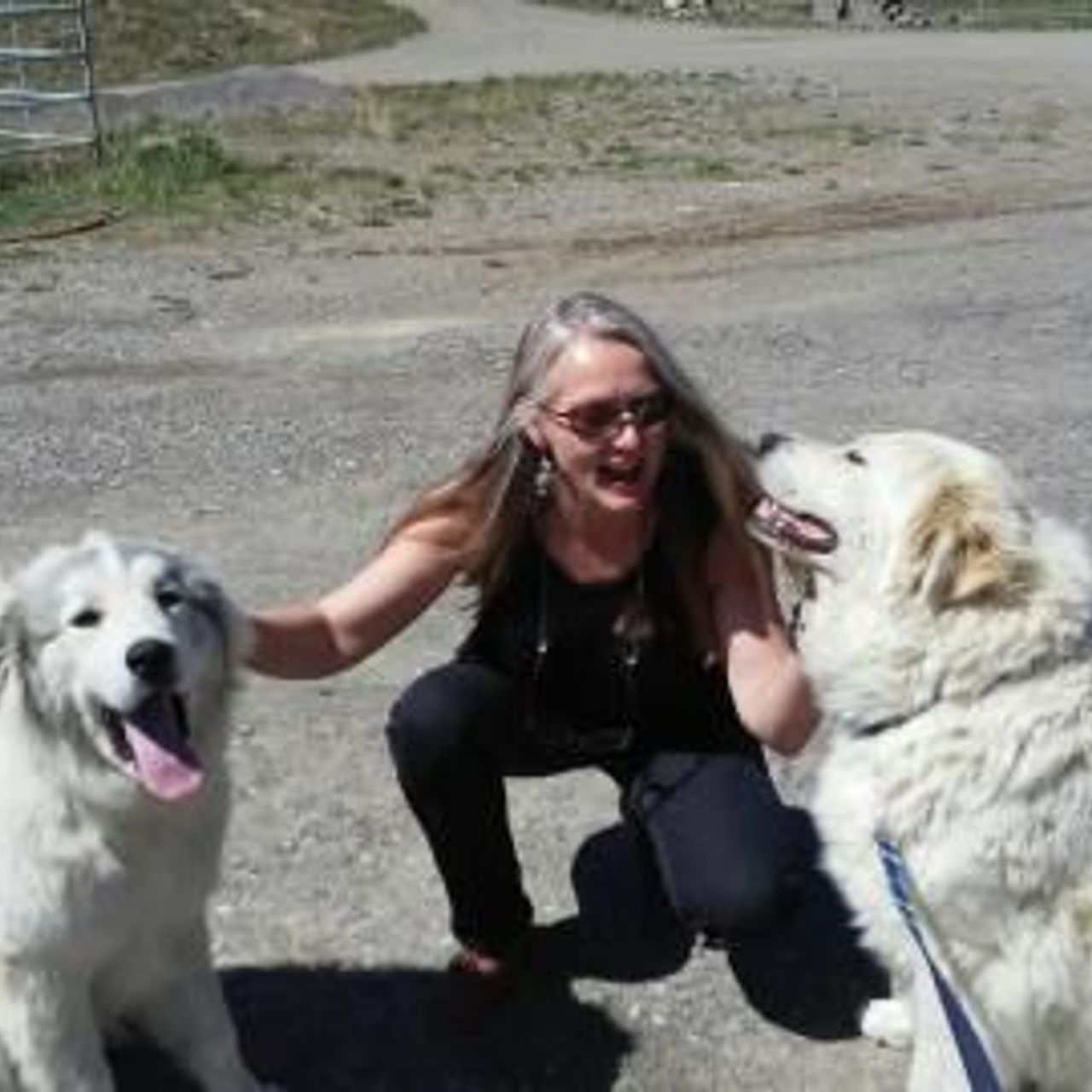 Family home and garden - rural, Hobby Farm - WWOOF Canada