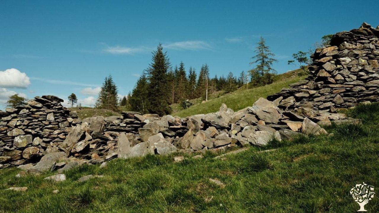 Mixed Cumbrian farm - WWOOF UK