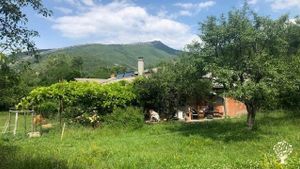 Potager, verger, ruche - WWOOF France