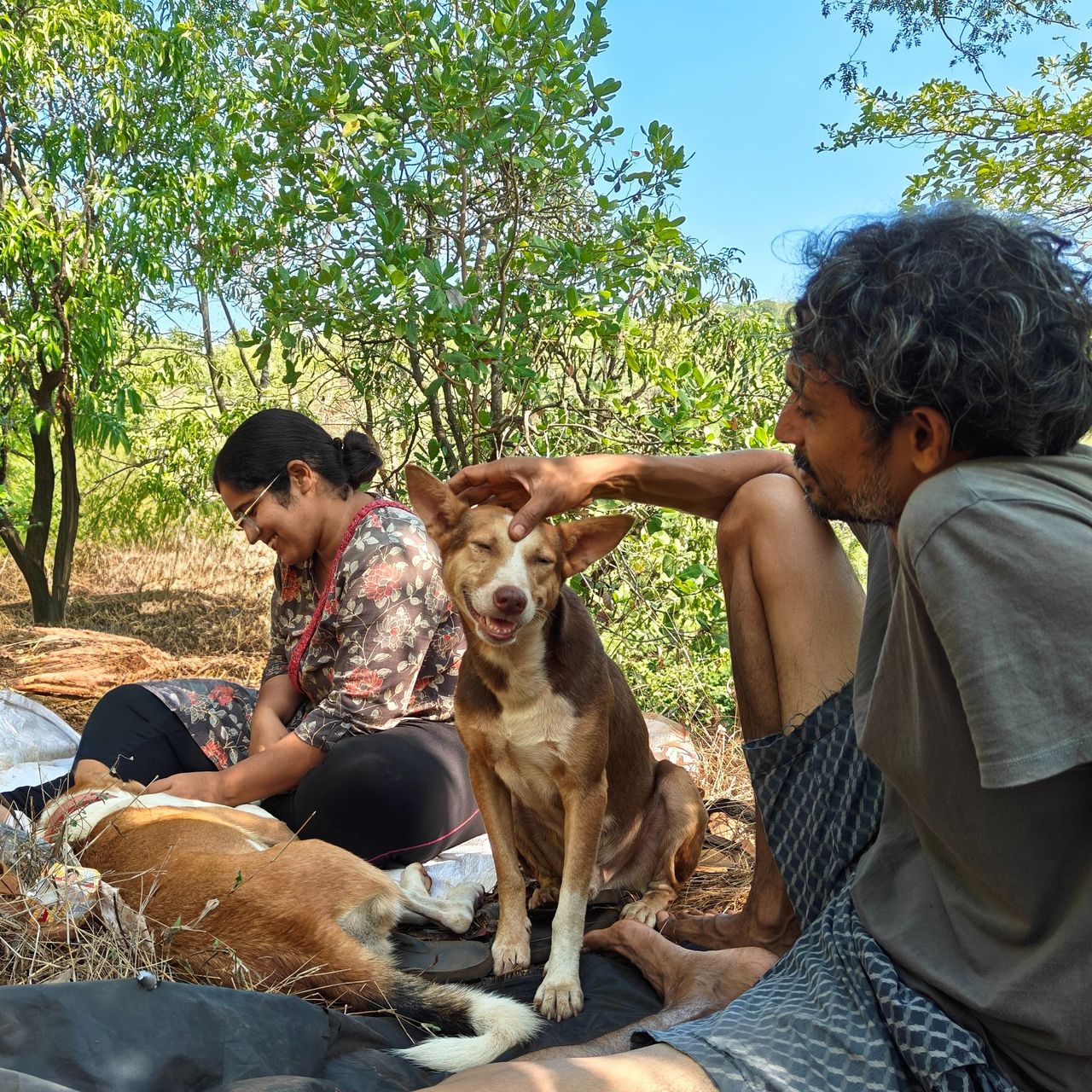Biodiverse farm following agroecology, permaculture and local practices ...