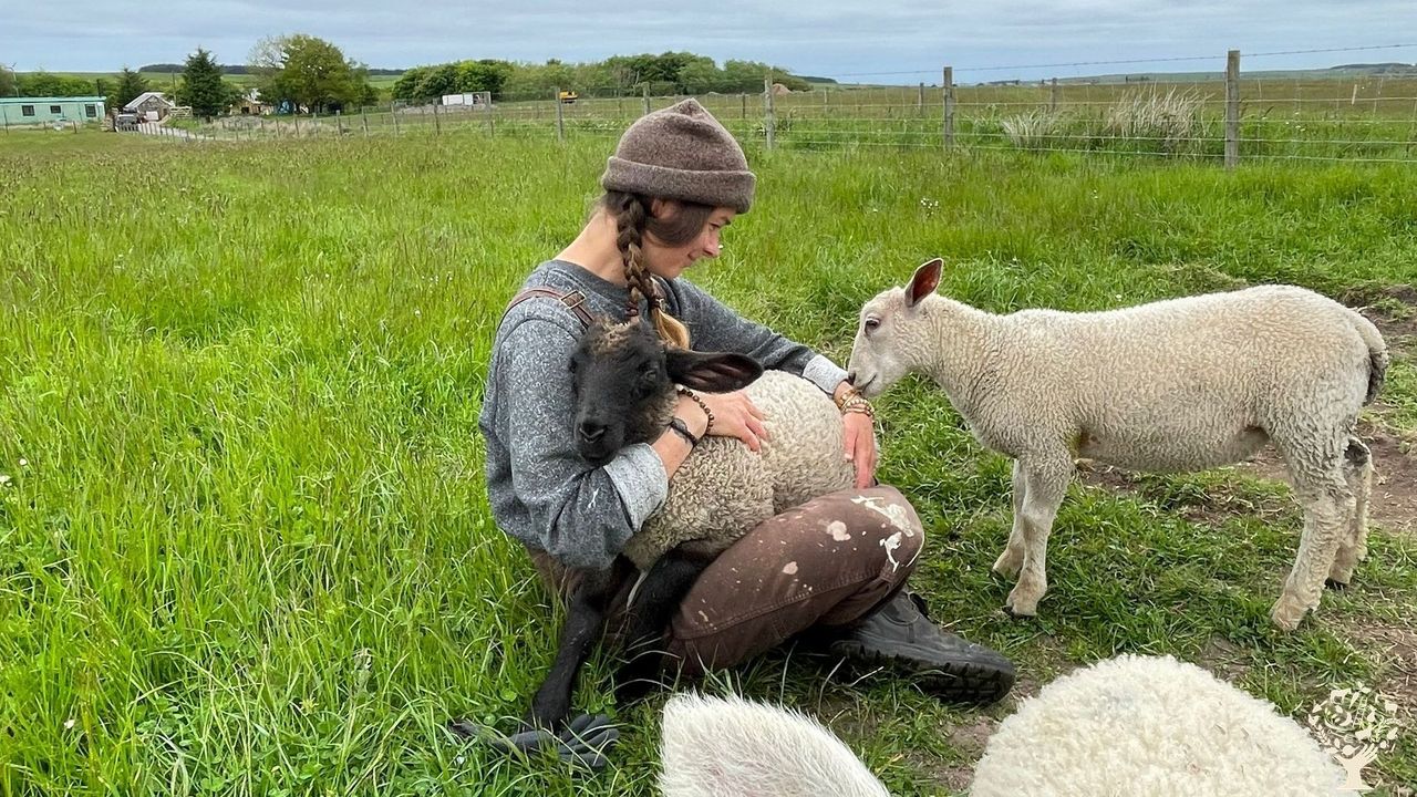 Hosts - WWOOF UK