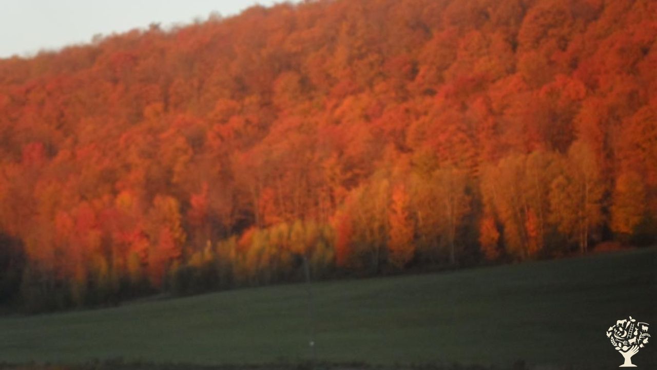 Hosts - WWOOF Canada