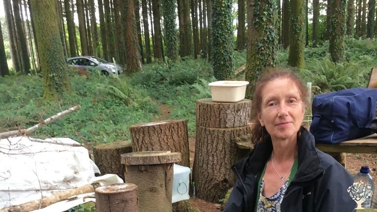 Forest Garden and Hazel coppice - WWOOF UK