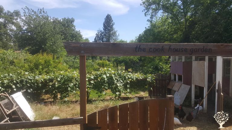 1/2 acre homestead in a suburb of Sacramento with 2000' of garden beds ...
